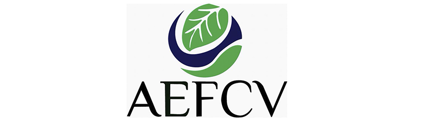 Informe final y estatutos de la AEFCV | FCV